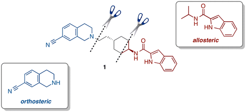 Discovery of a Novel Class of Negative Allosteric Modulator of the Dopamine D2 Receptor Through ...