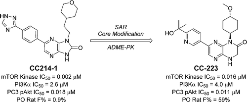Discovery of Mammalian Target of Rapamycin (mTOR) Kinase Inhibitor CC ...