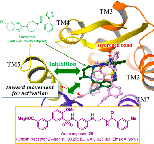 Design and Synthesis of Non-Peptide, Selective Orexin Receptor 2 ...