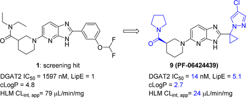 Discovery and Optimization of Imidazopyridine-Based Inhibitors of ...