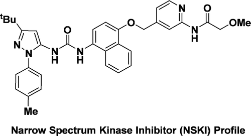 Discovery of Narrow Spectrum Kinase Inhibitors: New Therapeutic Agents ...