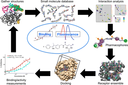 Discovery of Small Molecules for Fluorescent Detection of Complement ...