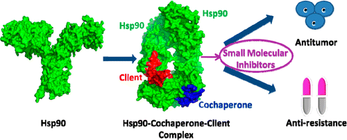 Development of Heat Shock Protein (Hsp90) Inhibitors To Combat ...