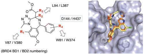 New Synthetic Routes to Triazolo-benzodiazepine Analogues: Expanding ...