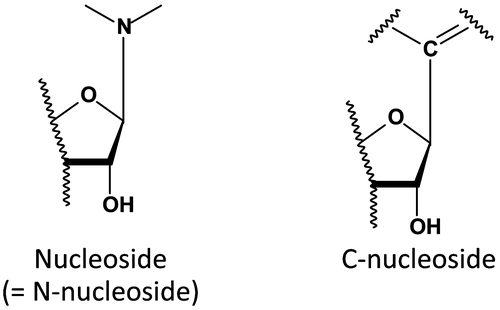 C-Nucleosides To Be Revisited,Journal of Medicinal Chemistry - X-MOL