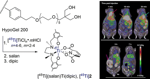 将放射示踪技术应用于钛基抗肿瘤药物：固相放射合成，PET和抗肿瘤药[ 45 Ti]（salan）Ti（dipic）的体外评估,Journal ...