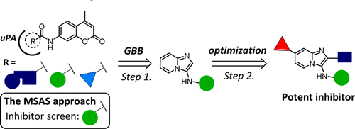 Discovery and SAR of Novel and Selective Inhibitors of Urokinase ...