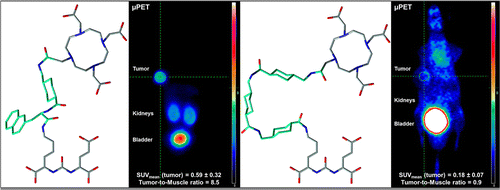 Linker Modification Strategies To Control the Prostate-Specific ...