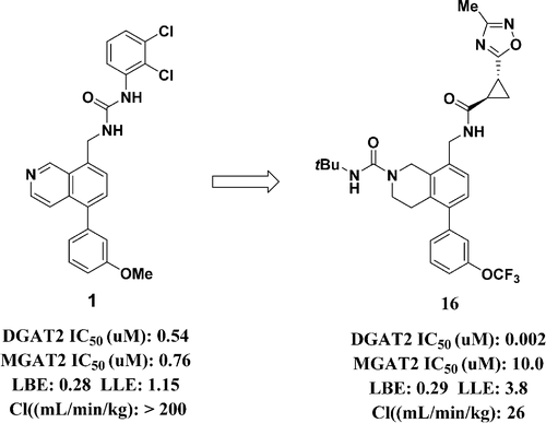 Discovery and Pharmacology of a Novel Class of Diacylglycerol ...