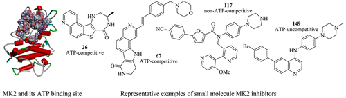 Targeting Mitogen-Activated Protein Kinase-Activated Protein Kinase 2 ...