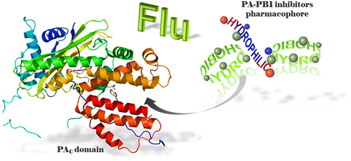 Polymerase Acidic Protein–Basic Protein 1 (PA–PB1) Protein–Protein ...