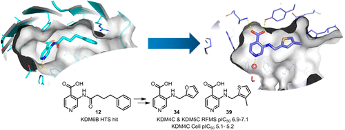 Cell Penetrant Inhibitors of the KDM4 and KDM5 Families of Histone ...