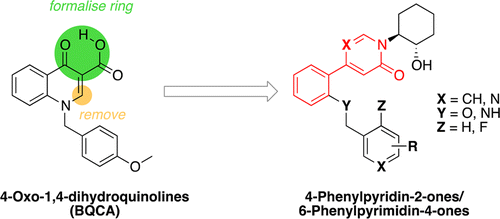 4-苯基吡啶-2-酮衍生物：M 1 毒蕈碱型乙酰胆碱受体的新型正变构调节剂,Journal of Medicinal Chemistry ...