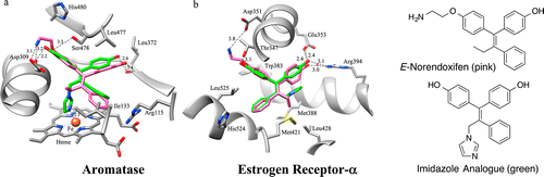 Synthesis of Triphenylethylene Bisphenols as Aromatase Inhibitors That ...