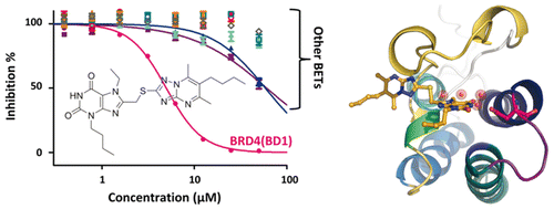 Exploring Selective Inhibition of the First Bromodomain of the Human ...