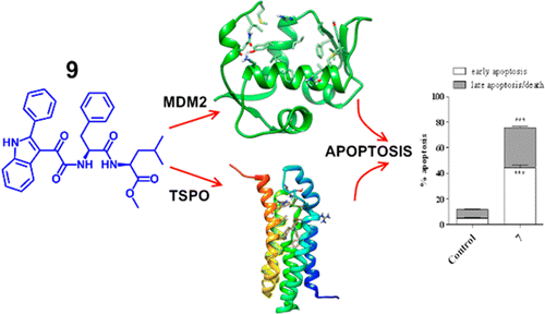 2-Phenylindolylylylylylylydipteptide小鼠双重（MDM）2 / translocator蛋白（TSPO）双重抑制剂治疗胶质瘤的前导优化,Journal of ...