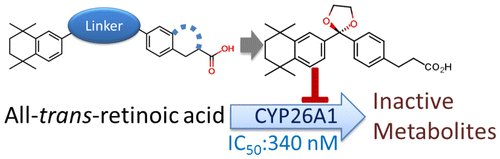 细胞色素P450 CYP26A1，人类肝视黄酸羟化酶的新型和选择性抑制剂的开发与表征,Journal of Medicinal ...