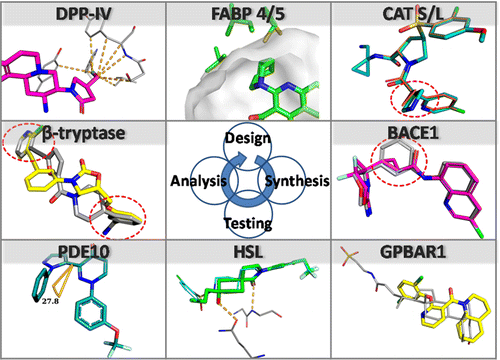 A Real-World Perspective on Molecular Design,Journal of Medicinal ...