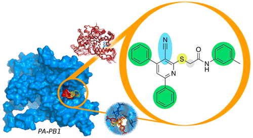 4,6-二苯基吡啶作为靶向PA–PB1蛋白与蛋白质相互作用的新型抗流感药物：借助分子建模的结构与活性关系探索,Journal of ...