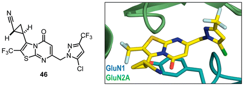 GluN2A选择性NMDA受体正变构调节剂（PAMs）的发现：通过基于结构的设计调节失活动力学,Journal of Medicinal ...