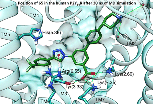 Structure-Based Design of 3-(4-Aryl-1H-1,2,3-triazol-1-yl)-Biphenyl ...