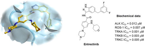 Entrectinib的发现：一种新型的3-氨基吲唑作为一种强力的间变性淋巴瘤激酶（ALK），c-ros癌基因1激酶（ROS1）和Pan ...