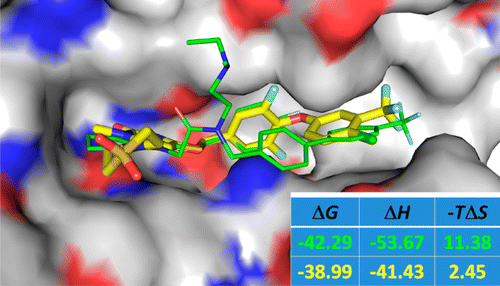Structural and Thermodynamic Characterization of Protein–Ligand ...
