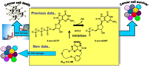 MutT同系物1（MTH1）：沉默靶点,Journal of Medicinal Chemistry - X-MOL