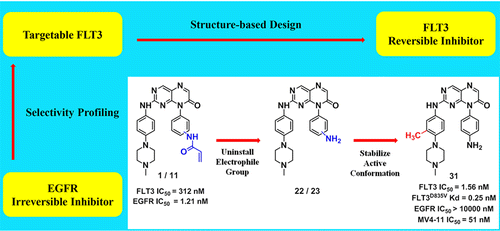 Discovery and Rational Design of Pteridin-7(8H)-one-Based Inhibitors ...