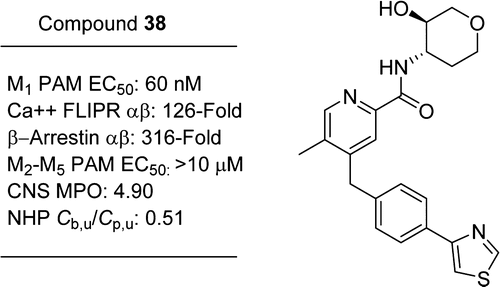 发现强而有选择性的M1 PAM激动剂 N -[（3 R ，4 S ）-3-羟基四氢-2 H- 吡喃-4-基] -5-甲基-4- [4-（1,3 ...