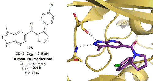通过高通量筛选发现的强效、选择性和口服生物可利用度 CDK8 抑制剂的基于结构的优化,Journal of Medicinal ...
