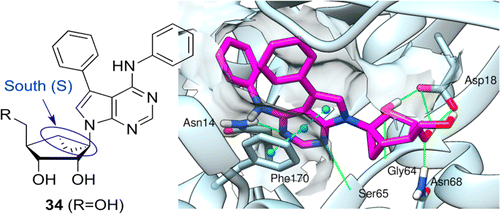 南 （S） - 和北 （N） -甲烷氨基甲酸酯-7-脱氮腺苷类似物作为人腺苷激酶的抑制剂。,Journal of Medicinal ...