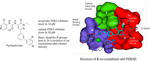 Biphenyl Pyridazinone Derivatives as Inhaled PDE4 Inhibitors ...