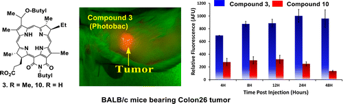 Highly Effective Dual-Function Near-Infrared (NIR) Photosensitizer for Fluorescence Imaging and ...