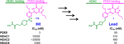 Design, Synthesis, and Biological Evaluation of First-in-Class Dual Acting Histone Deacetylases ...