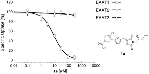 Identification of a New Class of Selective Excitatory Amino Acid ...