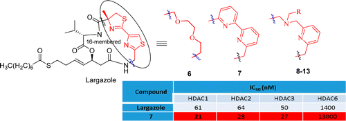 Largazole Analogues Embodying Radical Changes in the Depsipeptide Ring ...