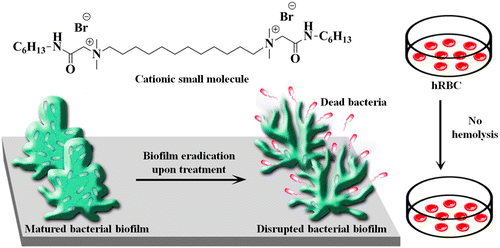 Antibacterial and Antibiofilm Activity of Cationic Small Molecules with ...