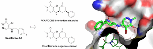 Discovery of a Potent, Cell Penetrant, and Selective p300/CBP ...