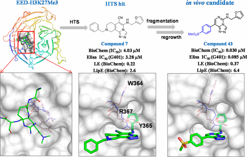 Discovery of First-in-Class, Potent, and Orally Bioavailable Embryonic ...