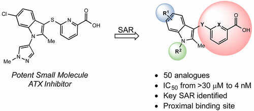 Structure–Activity Relationships of Small Molecule Autotaxin Inhibitors ...