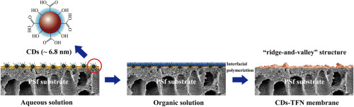 亲水碳点对聚酰胺薄膜纳米复合反渗透膜的影响,Journal of Membrane Science - X-MOL