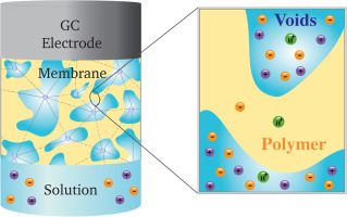 What makes aromatic polyamide membranes superior: New insights into ion ...