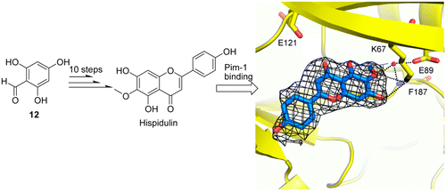 Total Synthesis of Hispidulin and the Structural Basis for Its ...