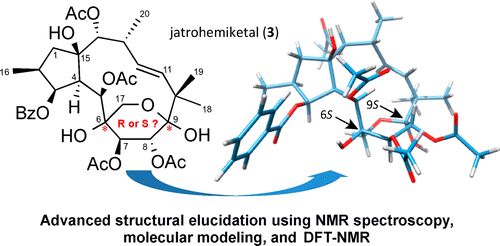 Advanced Structural Determination of Diterpene Esters Using Molecular ...