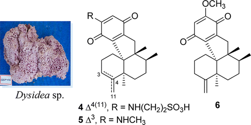 Meroterpenoids from a Tropical Dysidea sp. Sponge,Journal of Natural ...