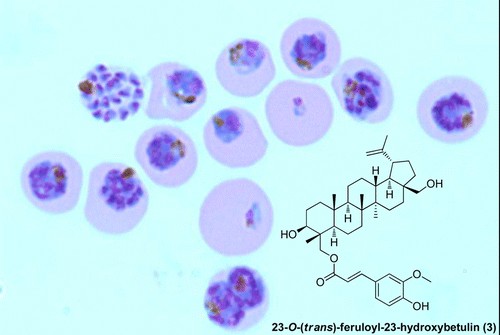 Identification of Compounds with Efficacy against Malaria Parasites ...