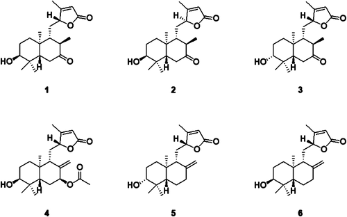 ent-Labdane Diterpenoids from the Aerial Parts of Eupatorium ...