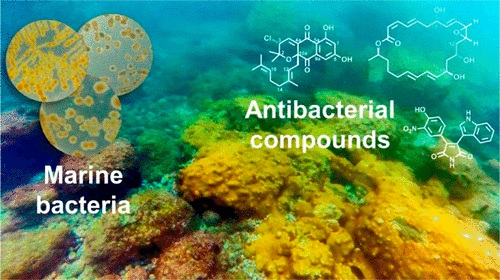 Antibacterial Compounds from Marine Bacteria, 2010–2015,Journal of ...