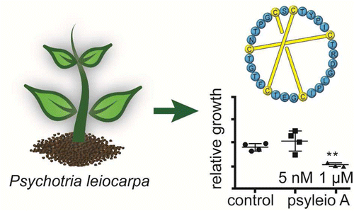 Isolation and Characterization of Cyclotides from Brazilian Psychotria ...